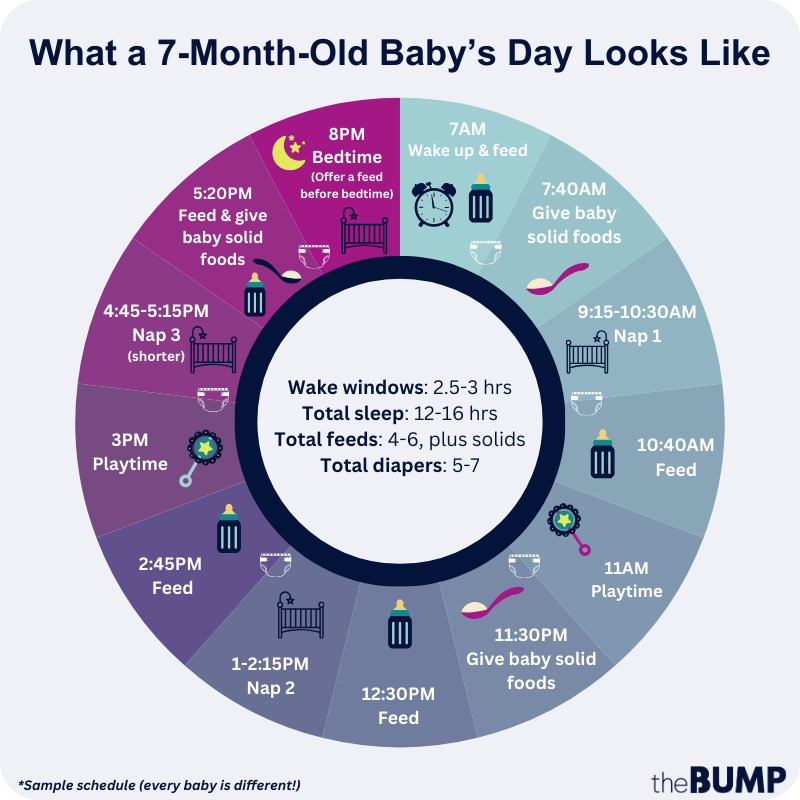 7-Month-Old-Baby: Feeding Schedules, Milestones and More
