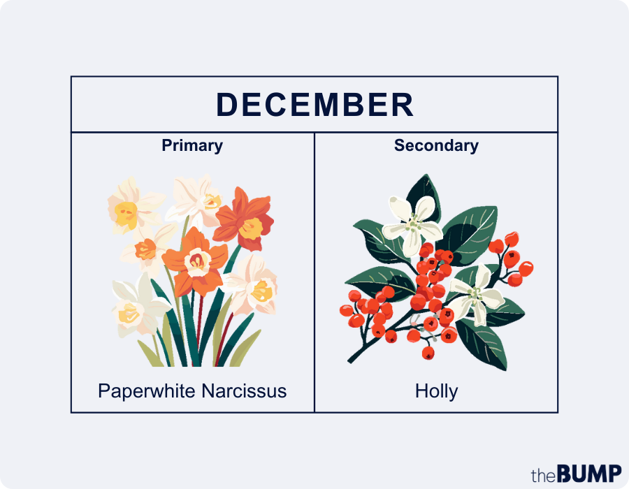 Month Of December Flower