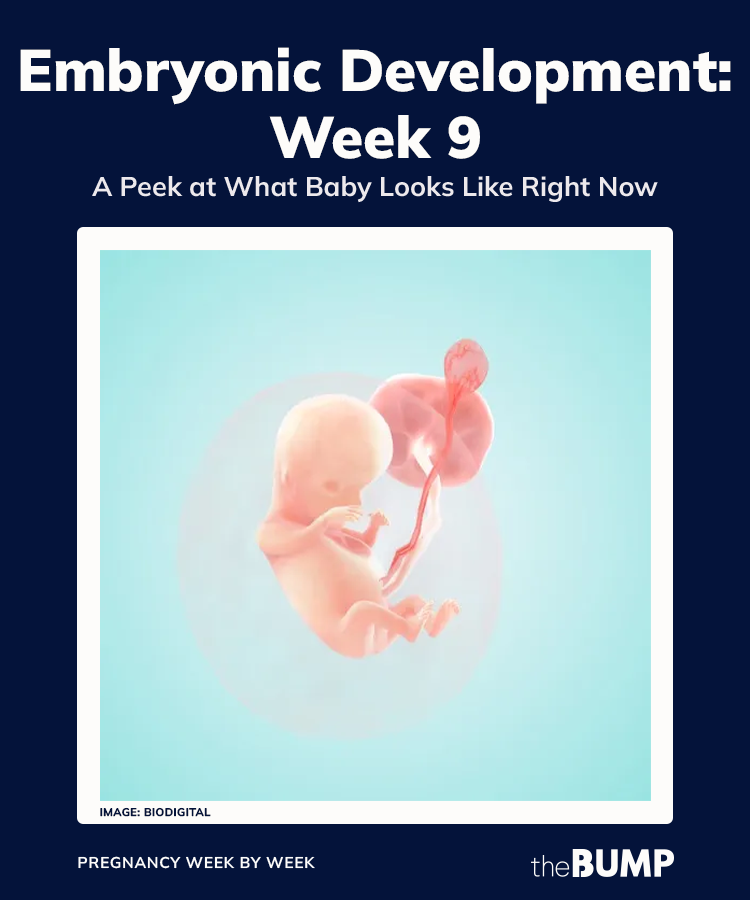 9 Weeks Pregnant: Baby Development, Symptoms and Tips