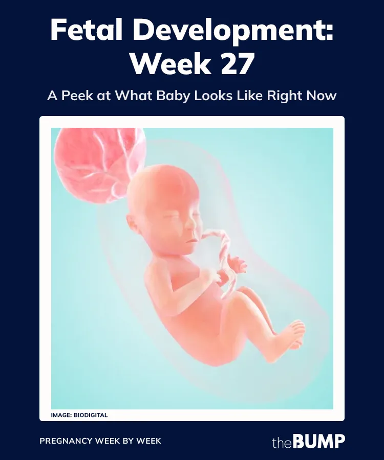 27 Weeks Pregnant: Baby Development, Symptoms and Tips