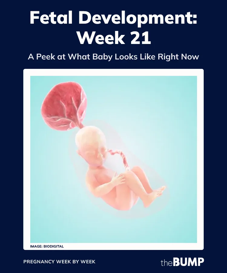 21 Weeks Pregnant: Baby Development, Symptoms and Tips