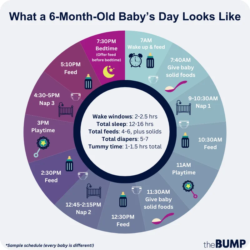 6-Month-Old-Baby: Feeding Schedules, Growth Spurts and More