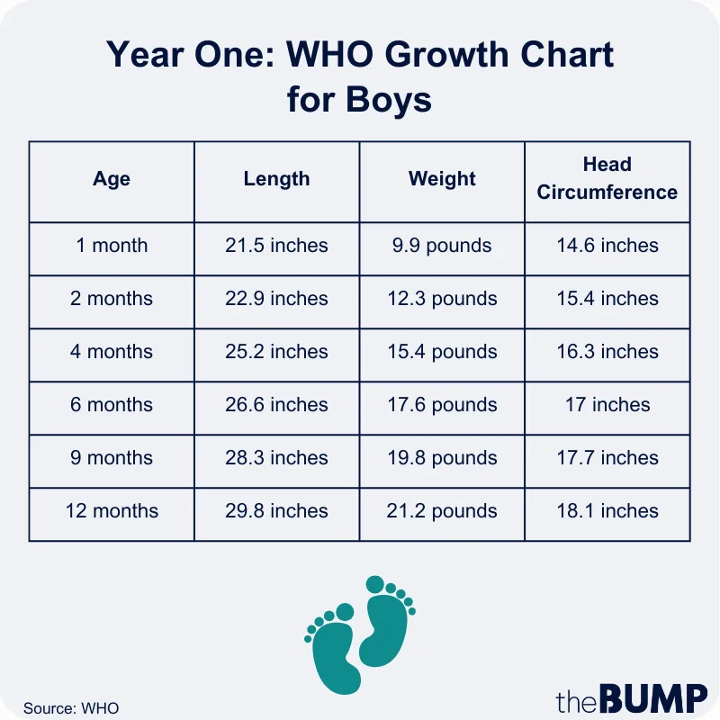 Cdc Premature Growth Chart