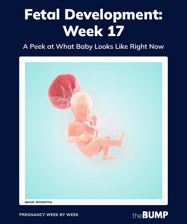 17 Weeks Pregnant: Baby Development, Symptoms and Tips