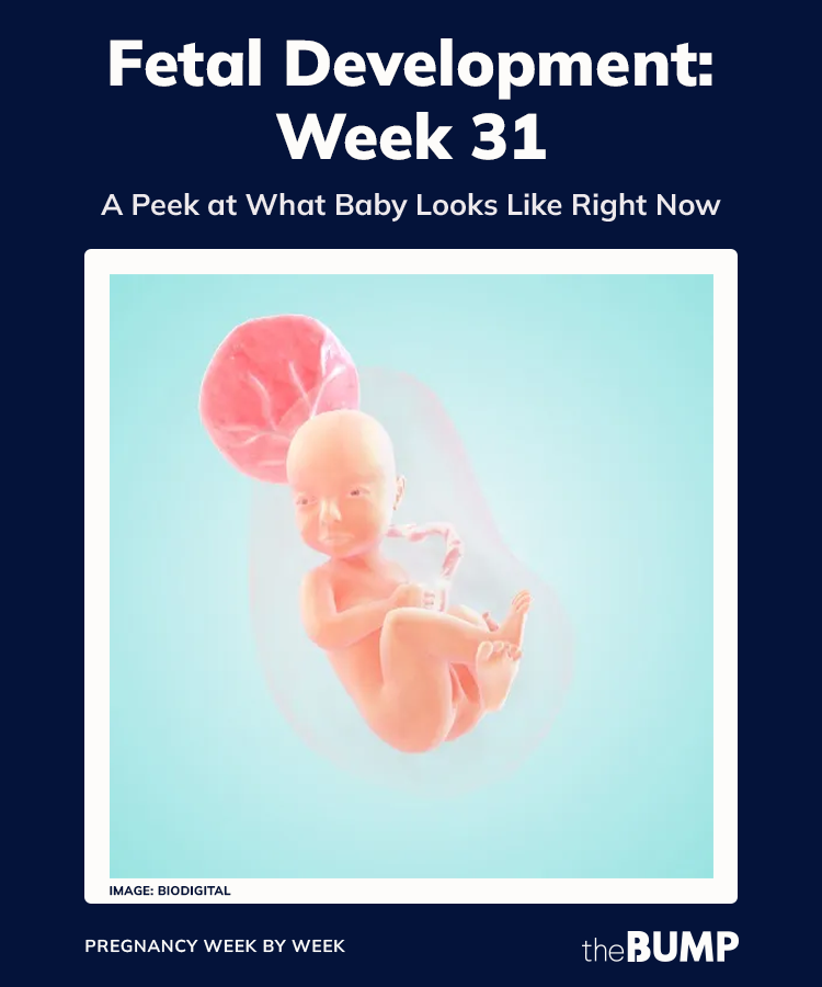 31 Weeks Pregnant: Baby Development, Symptoms and Tips