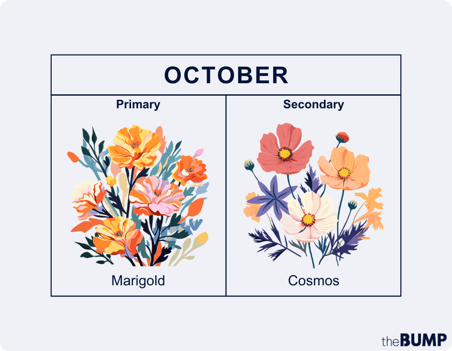 Birth Flowers Chart: What Are the Birth Flowers by Month?