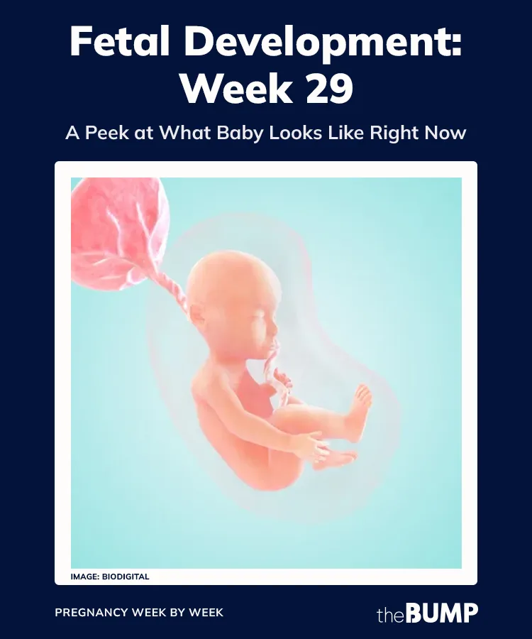 29 Weeks Pregnant: Baby Development, Symptoms and Tips