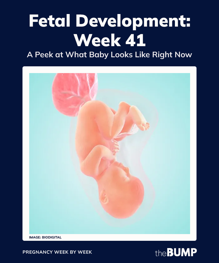 41 Weeks Pregnant Ultrasound