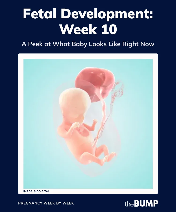 10 Weeks Pregnant: Baby Development, Symptoms and Tips
