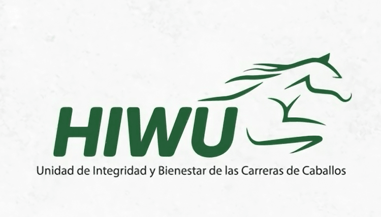 HIWU Gestión de Resultados - HIWU