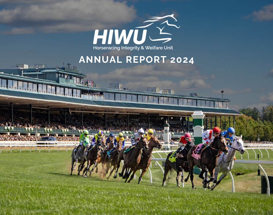 HIWU 2024 Annual Report - HIWU