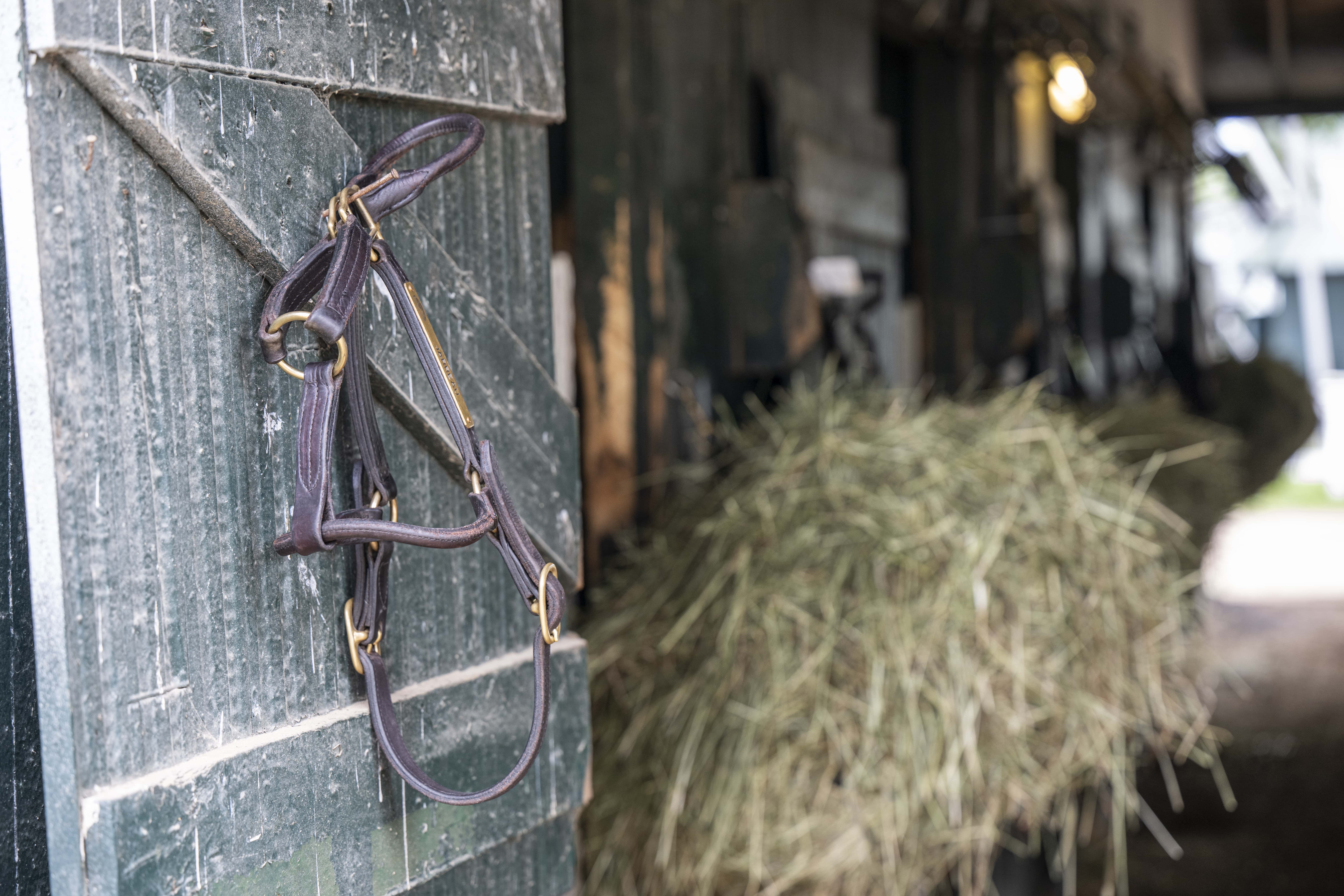 Horsemen’s Advisory Regarding Adenosine and Hemo 15 - HIWU