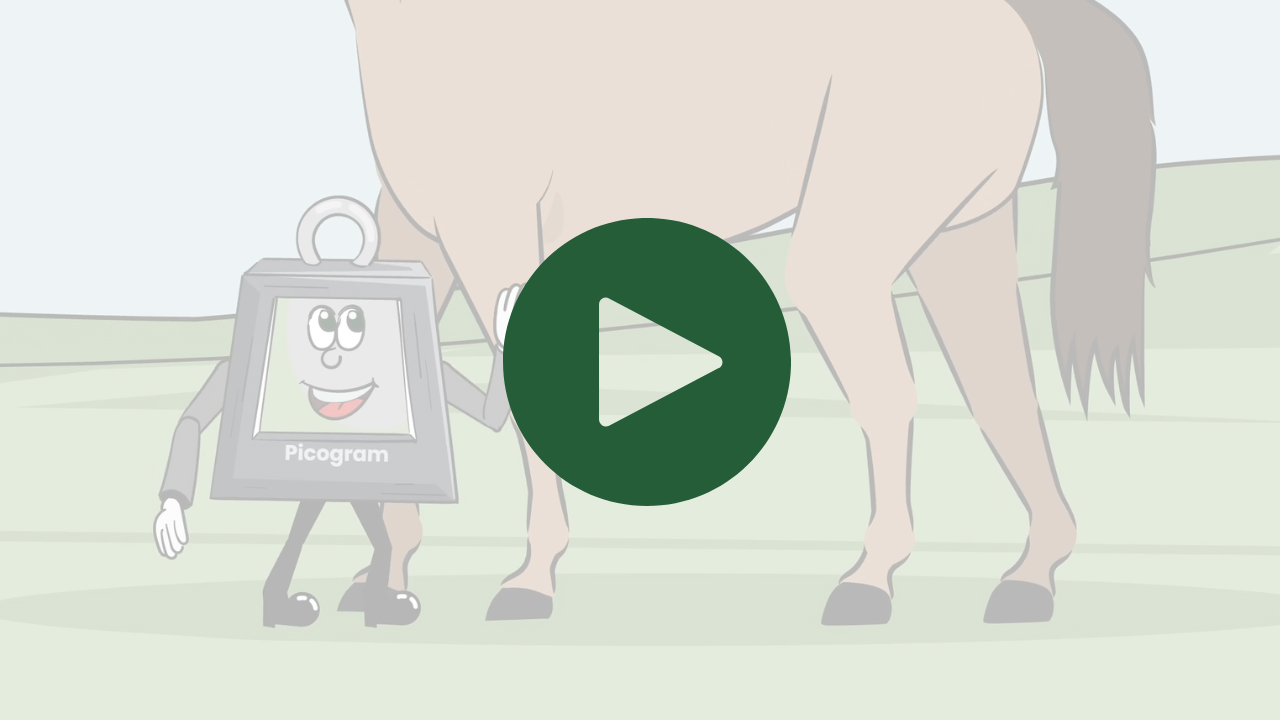 What is a Picogram? - HIWU