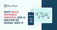 Why Bulk Payment Services Are A Matter Of When Not If Why Bulk Payment Services Are A Matter Of When Not If