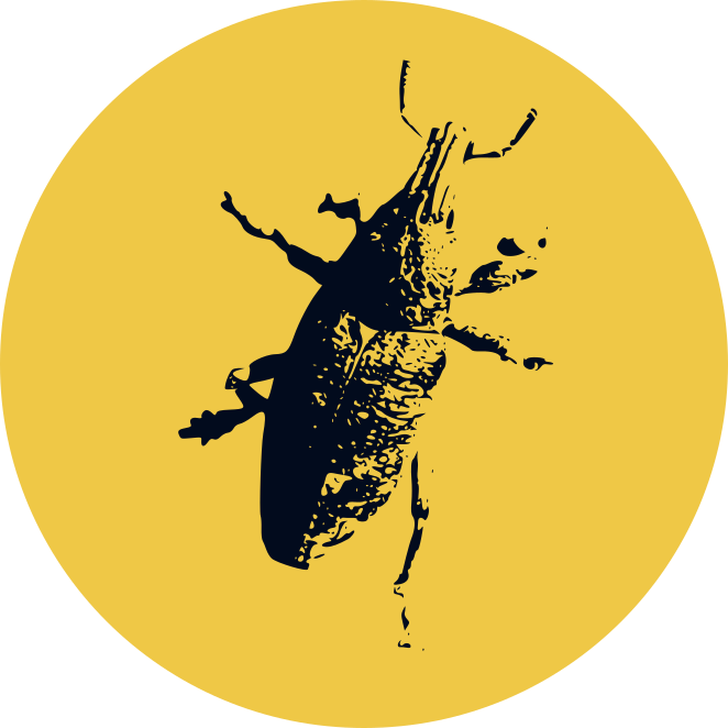 BUGF - Bugs United Globally Foundation