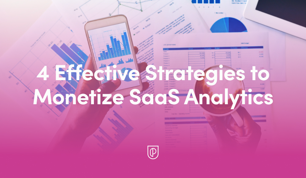 4 Effective Strategies to Monetize SaaS Analytics