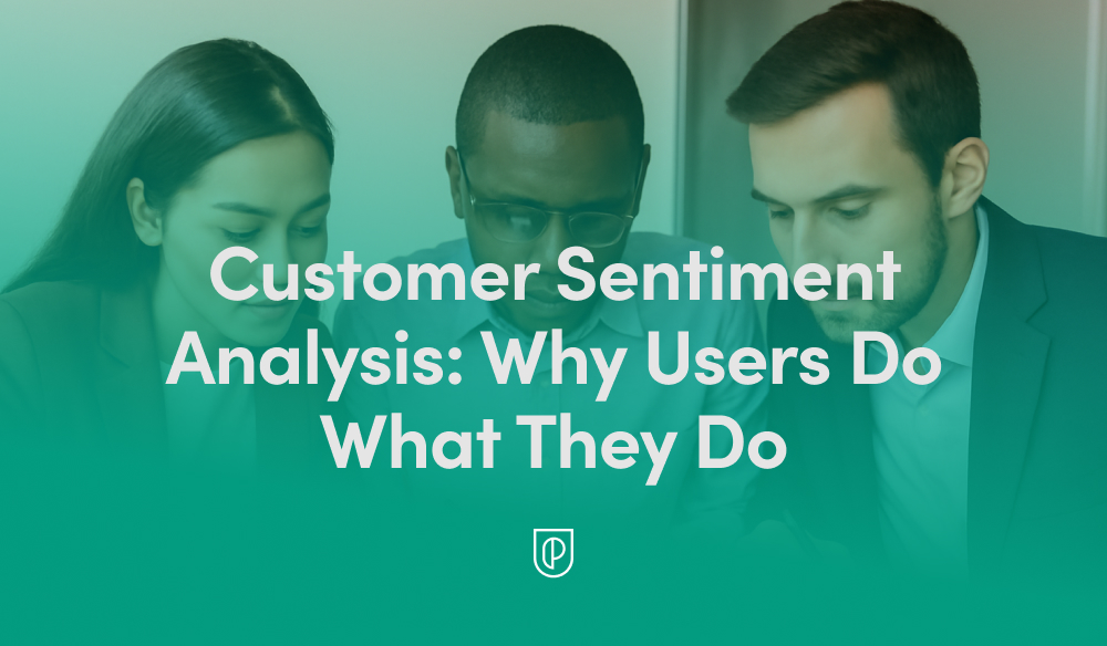 Customer Sentiment Analysis: Why Users Do What They Do