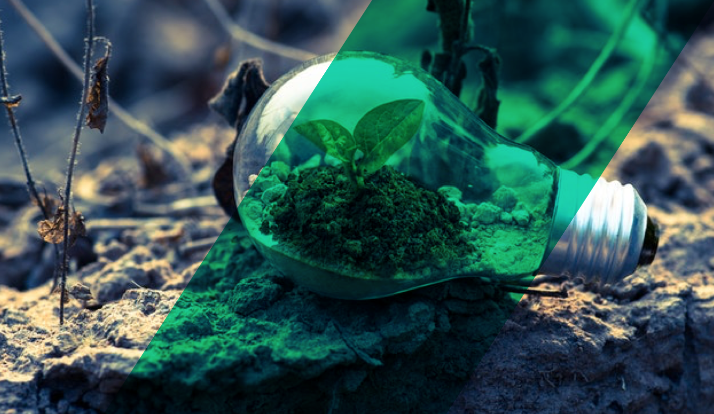 Drive Growth with these 5 Killer Product Marketing Strategies