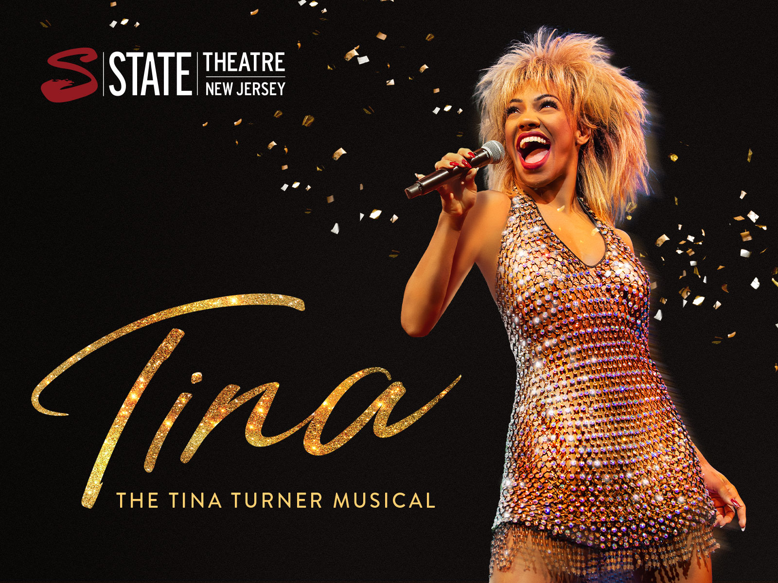 Tina-The Tina Turner Musical tickets | New Brunswick | TodayTix