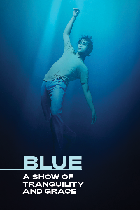 Blue Tickets | Brisbane | TodayTix
