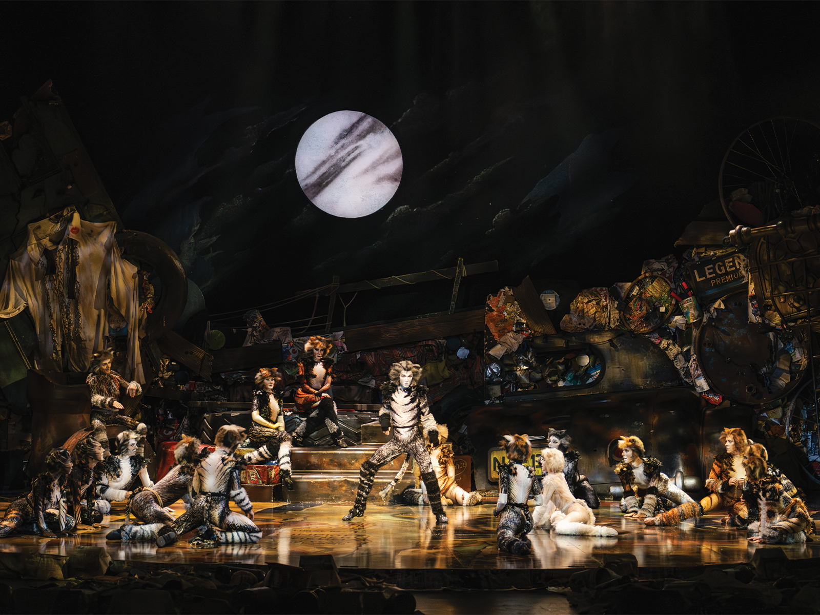 CATS Tickets | Sydney | TodayTix