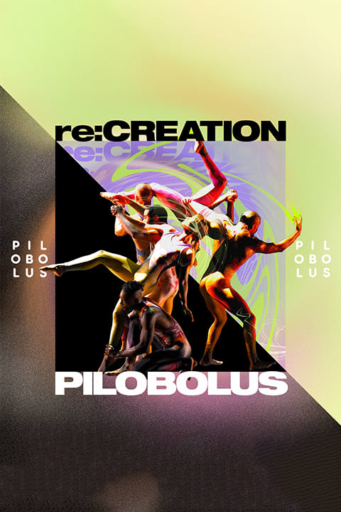 Pilobolus: Re: Creation Tickets | Morristown | TodayTix