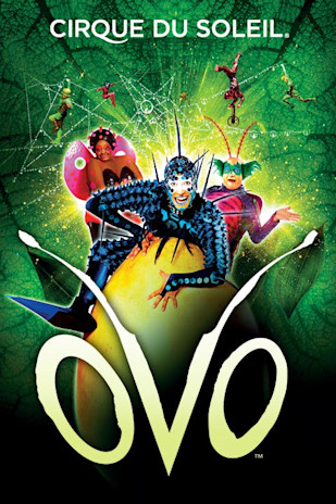 Cirque du Soleil - Ovo Tickets | London | TodayTix