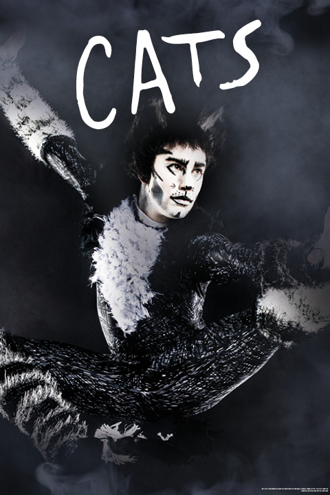 Cats Tickets | San Francisco | TodayTix