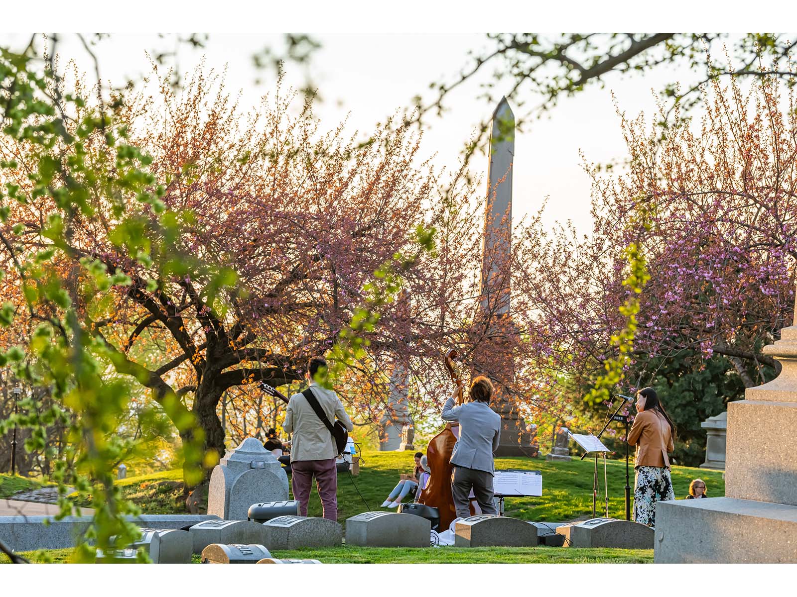 Hanami Festival Tickets | Brooklyn | TodayTix