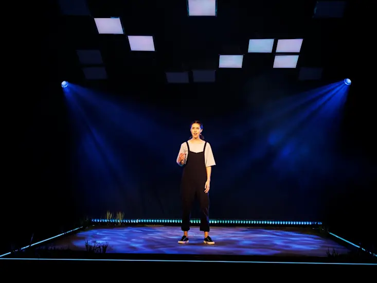 One Woman Show Tickets | Ambassadors Theatre | London Theatre