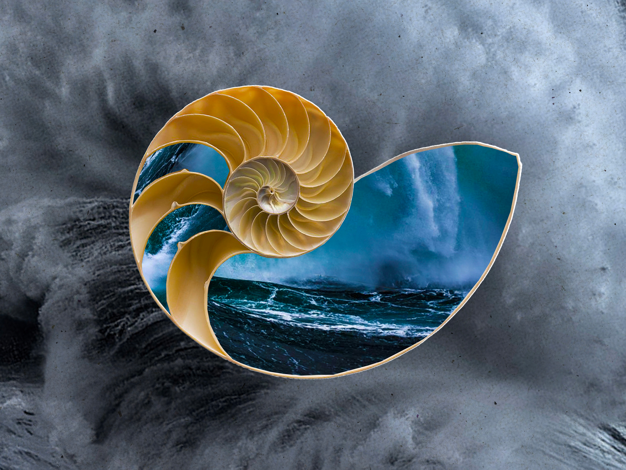 Donald Runnicles conducts Sibelius and Wagner Tickets | Sydney | TodayTix