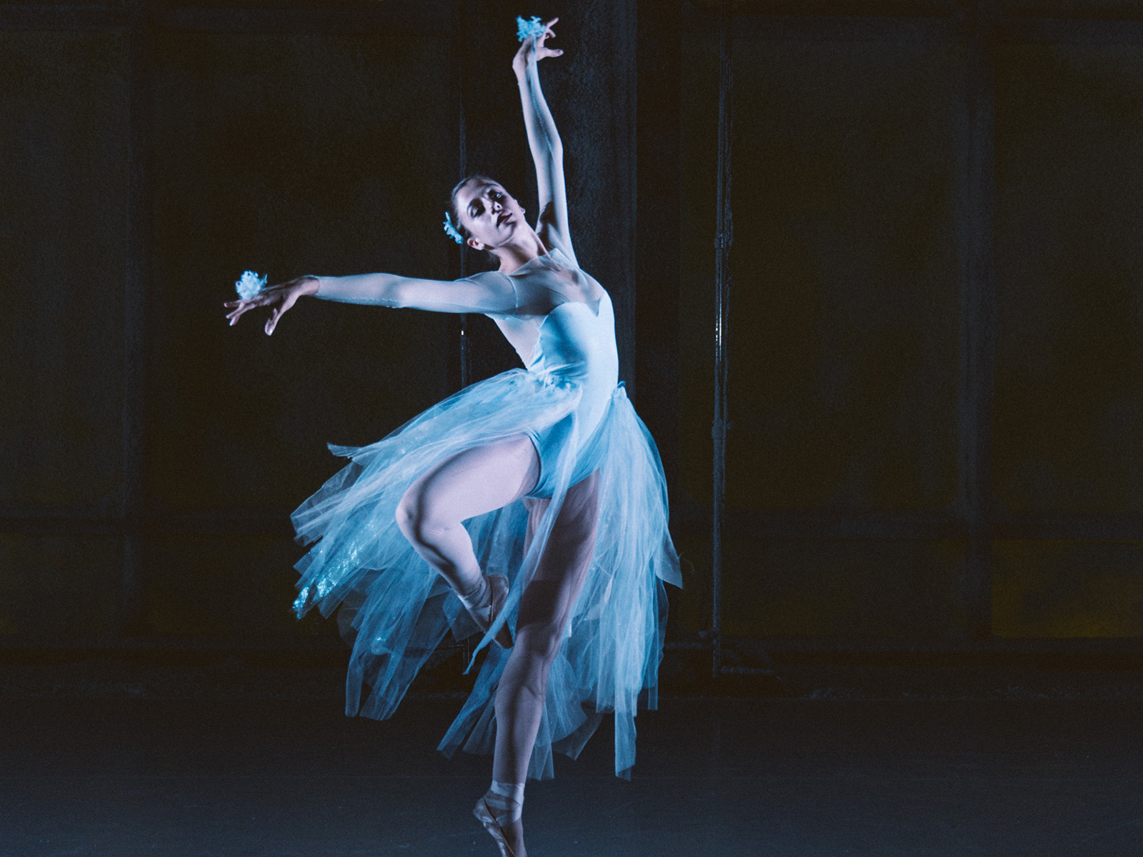 American Contemporary Ballet Presents The Nutcracker Suite Tickets ...