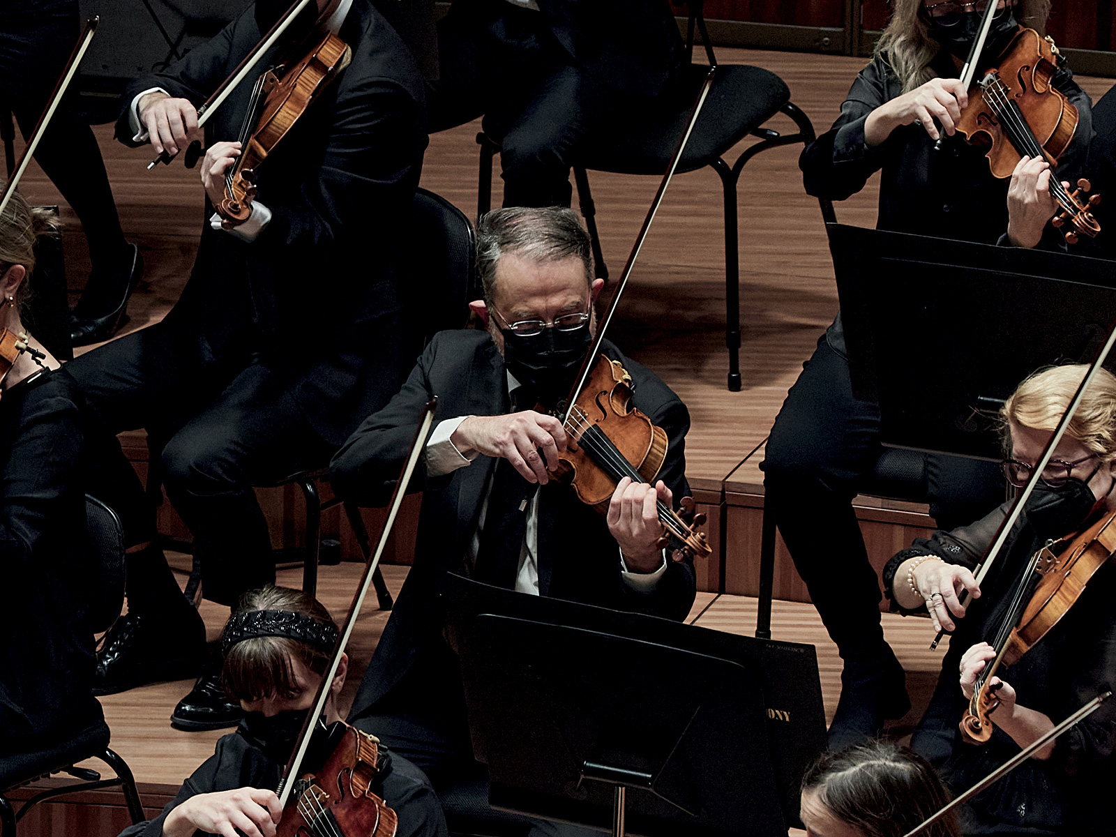 Mozart & Haydn tickets | Sydney | TodayTix