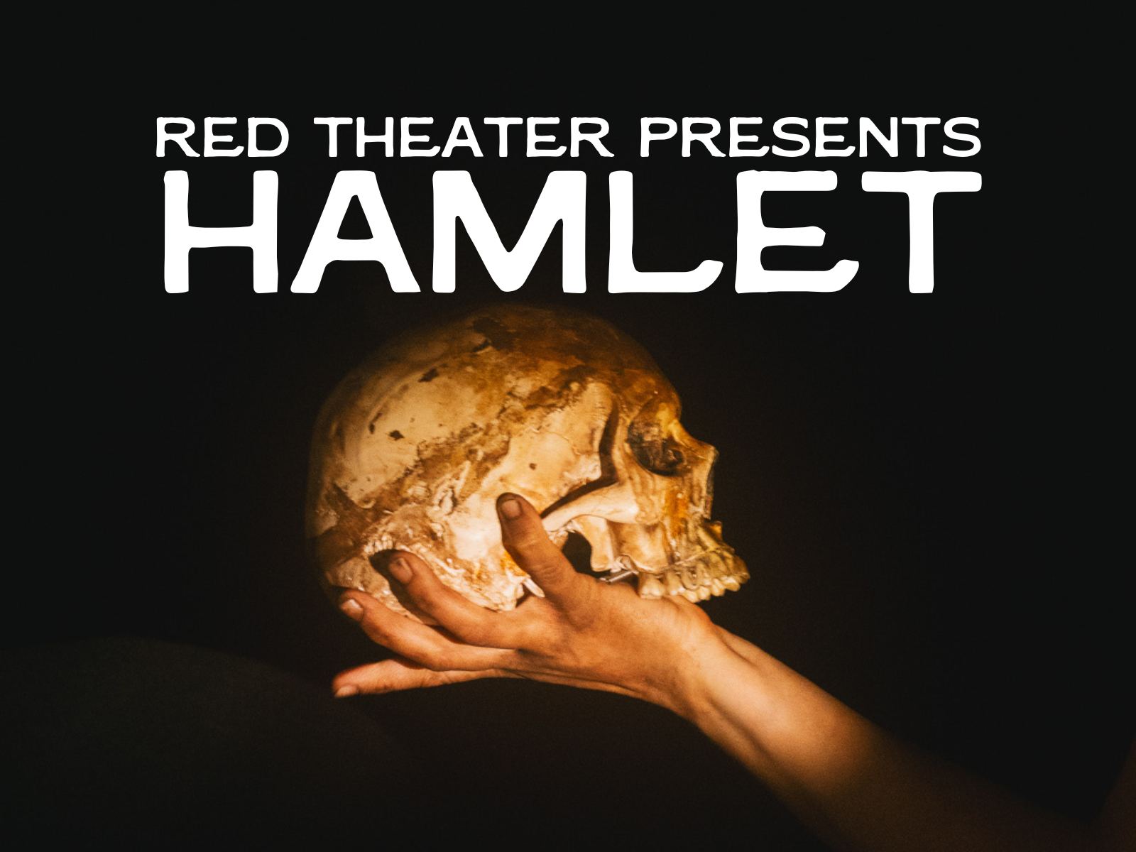 Hamlet Tickets | Chicago | TodayTix