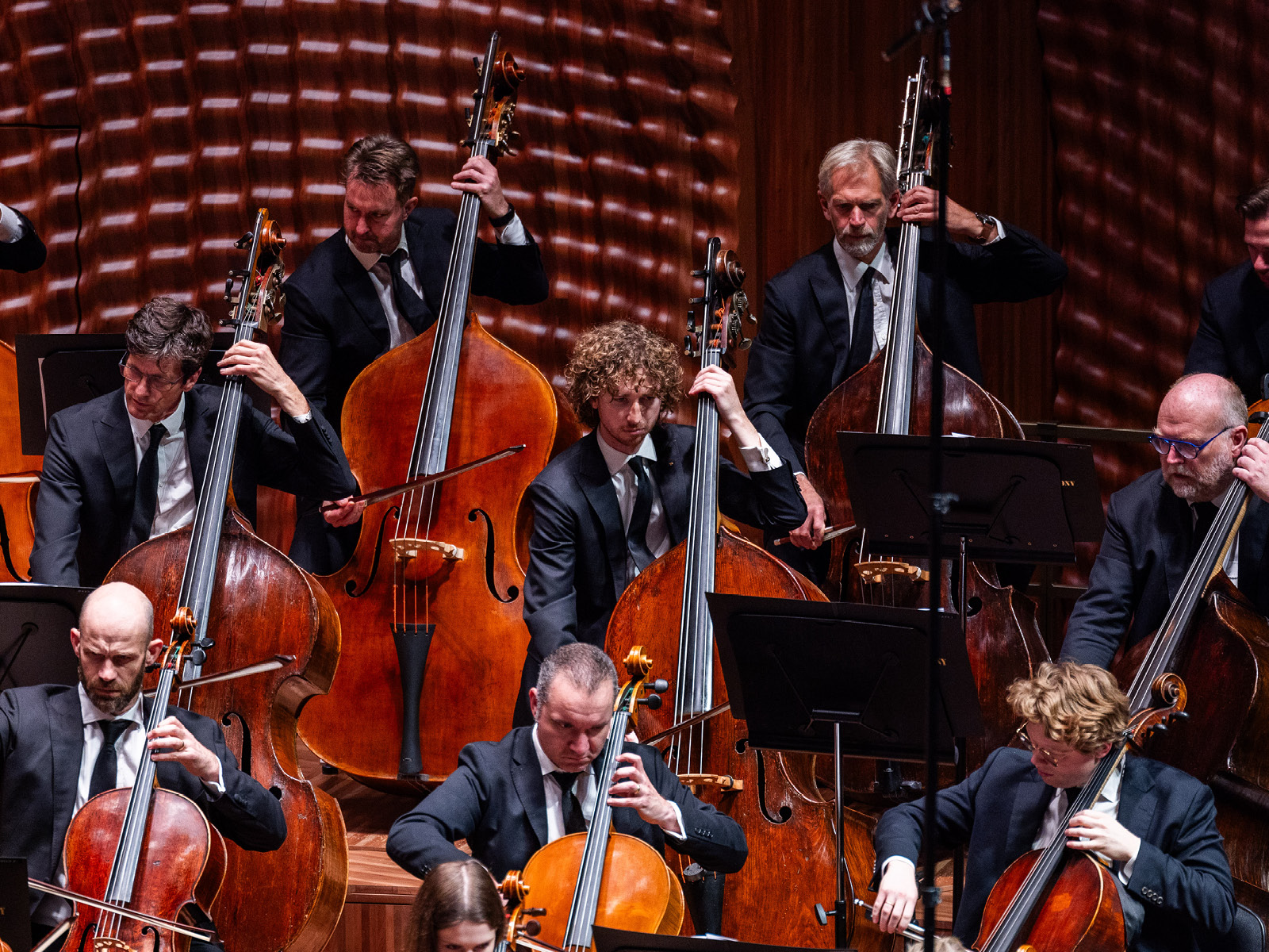 Beethoven’s Third Symphony Tickets | Sydney | TodayTix