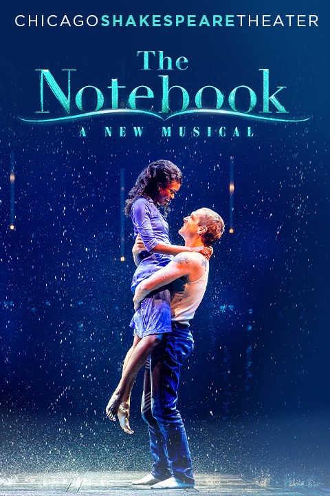 The Notebook Poster