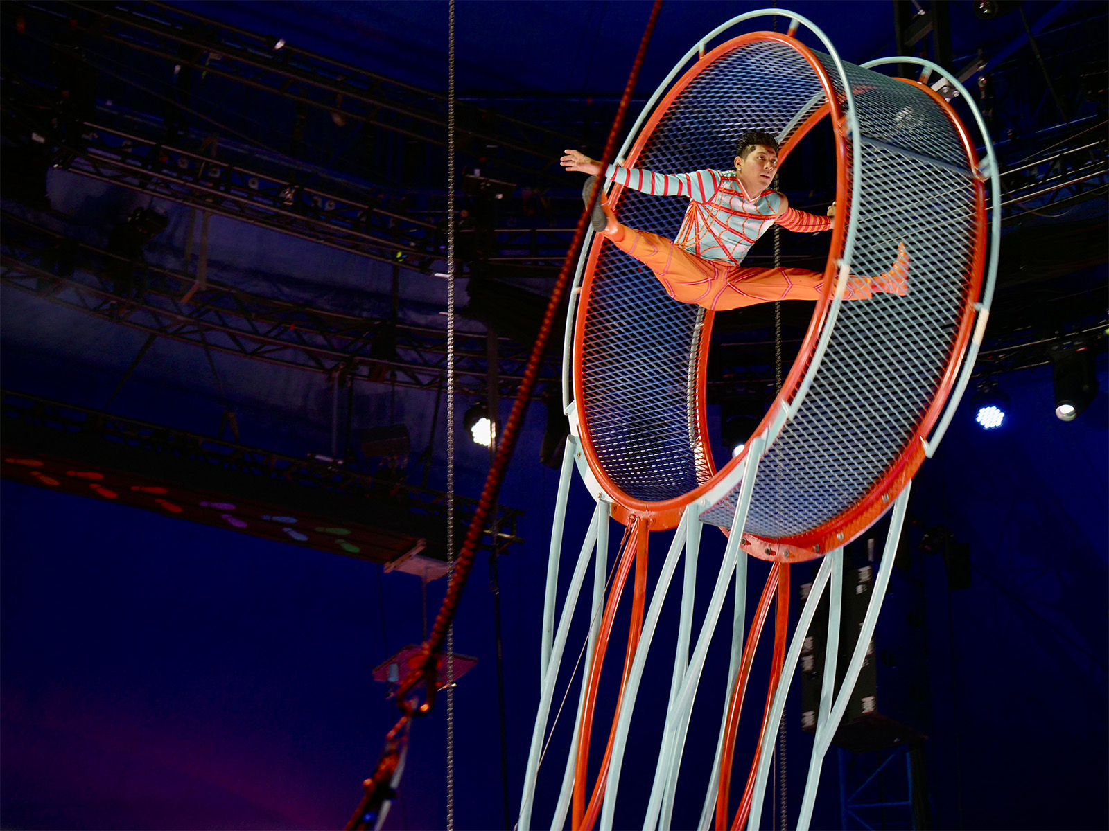 Big Apple Circus Tickets | New York Theatre Guide