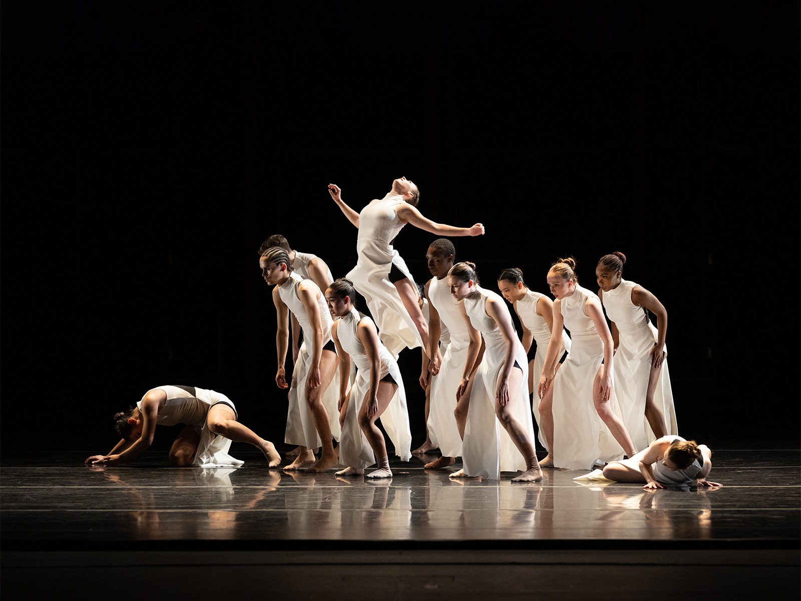 New Dances: Edition 2024 Tickets | New York | TodayTix