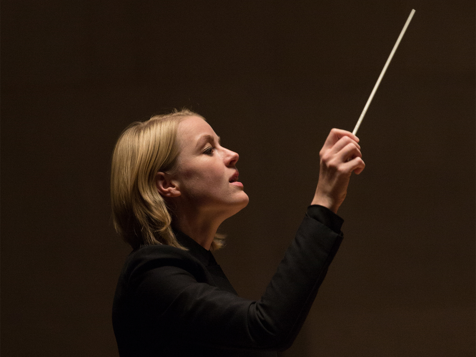 Beethoven's Ninth Symphony National Symphony Orchestra tickets | Vienna ...