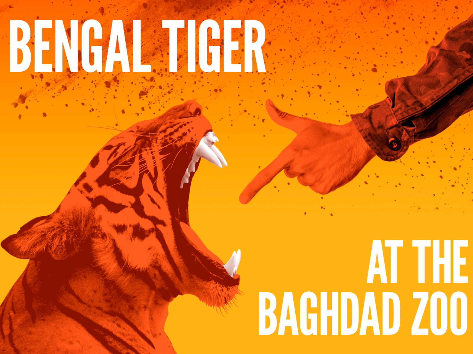 Bengal Tiger at the Baghdad Zoo Tickets | London | TodayTix