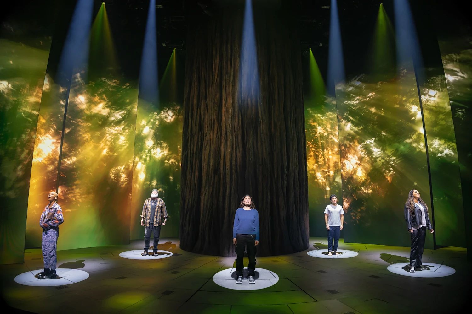 Redwood Tickets | New York Theatre Guide