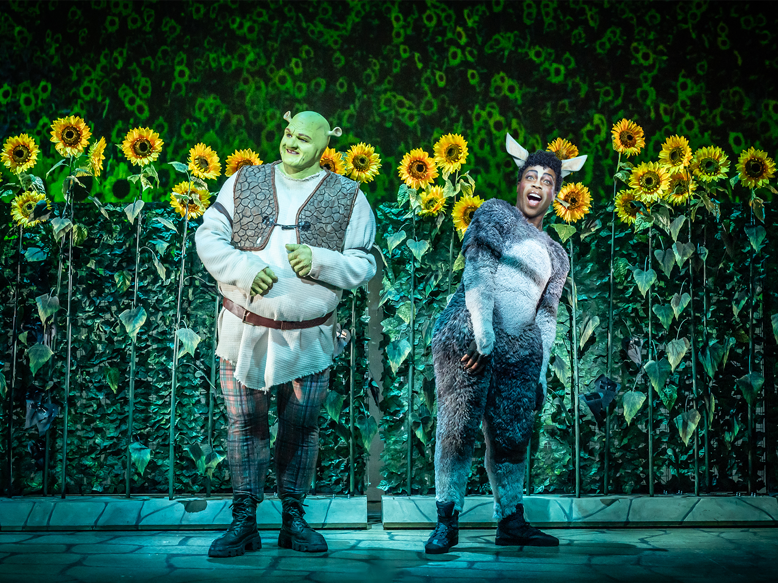 Shrek El Patito Feo Musical