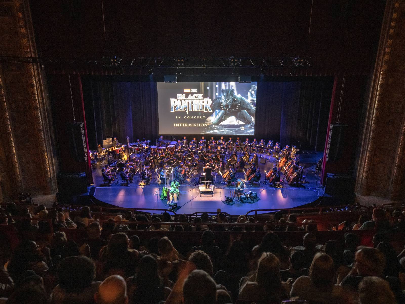 Marvel Studios’ Black Panther in Concert Tickets | Chicago | TodayTix