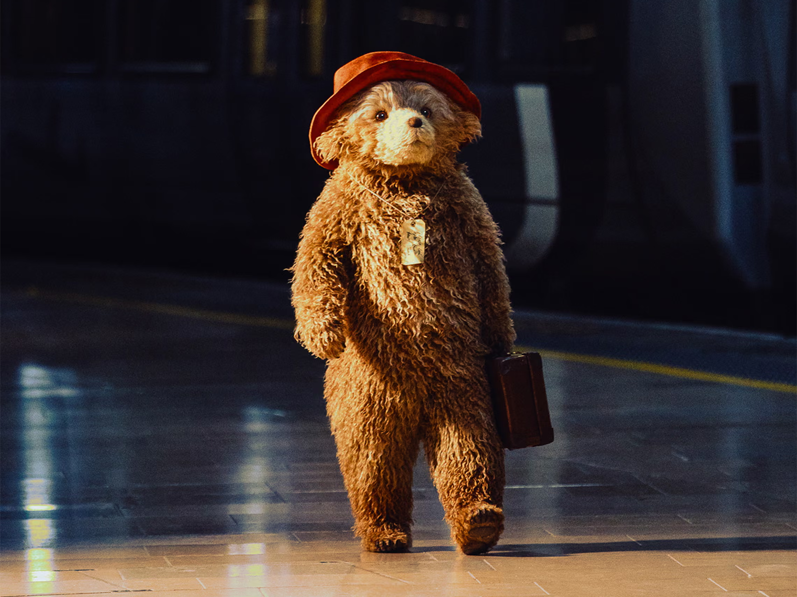 Paddington The Musical Tickets | Savoy Theatre | London Theatre