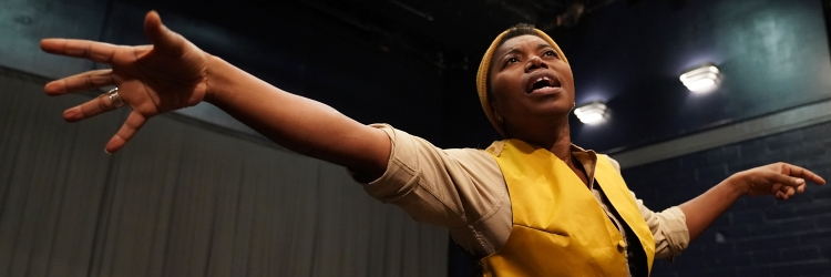 Review of Where We Stand at WP Theater | New York Theatre Guide