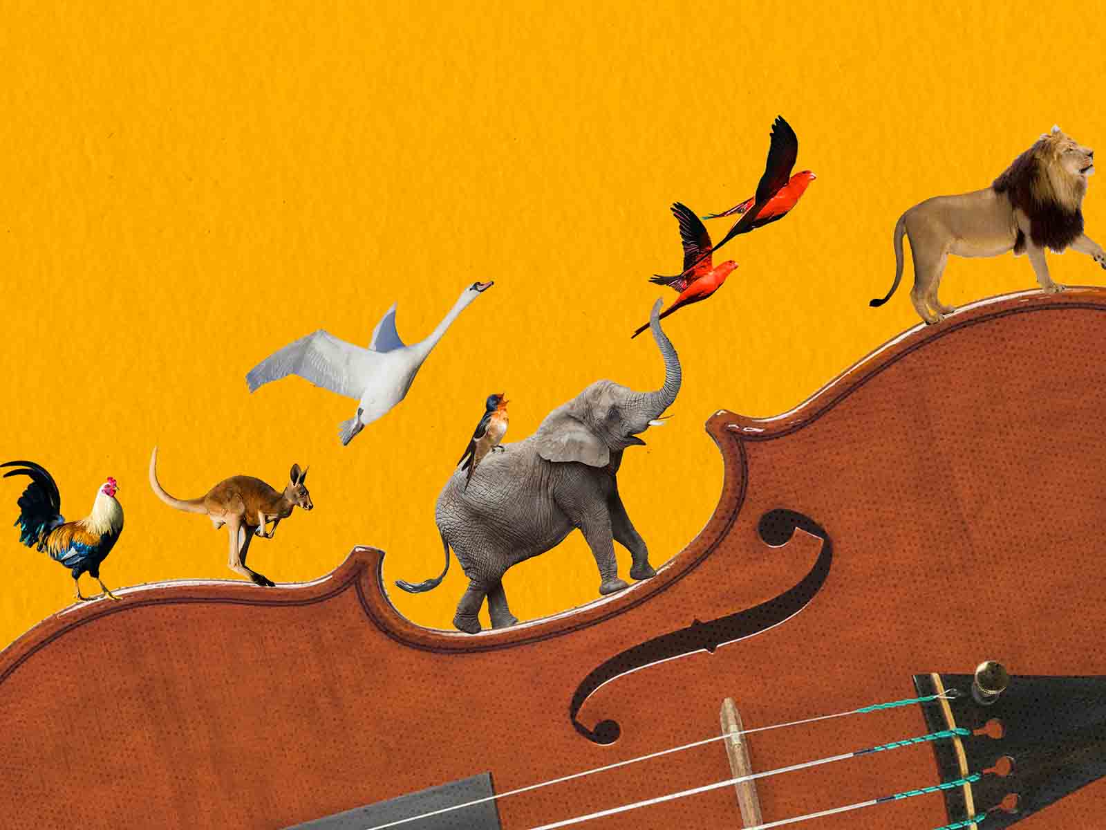 Carnival of the Animals tickets | Sydney | TodayTix