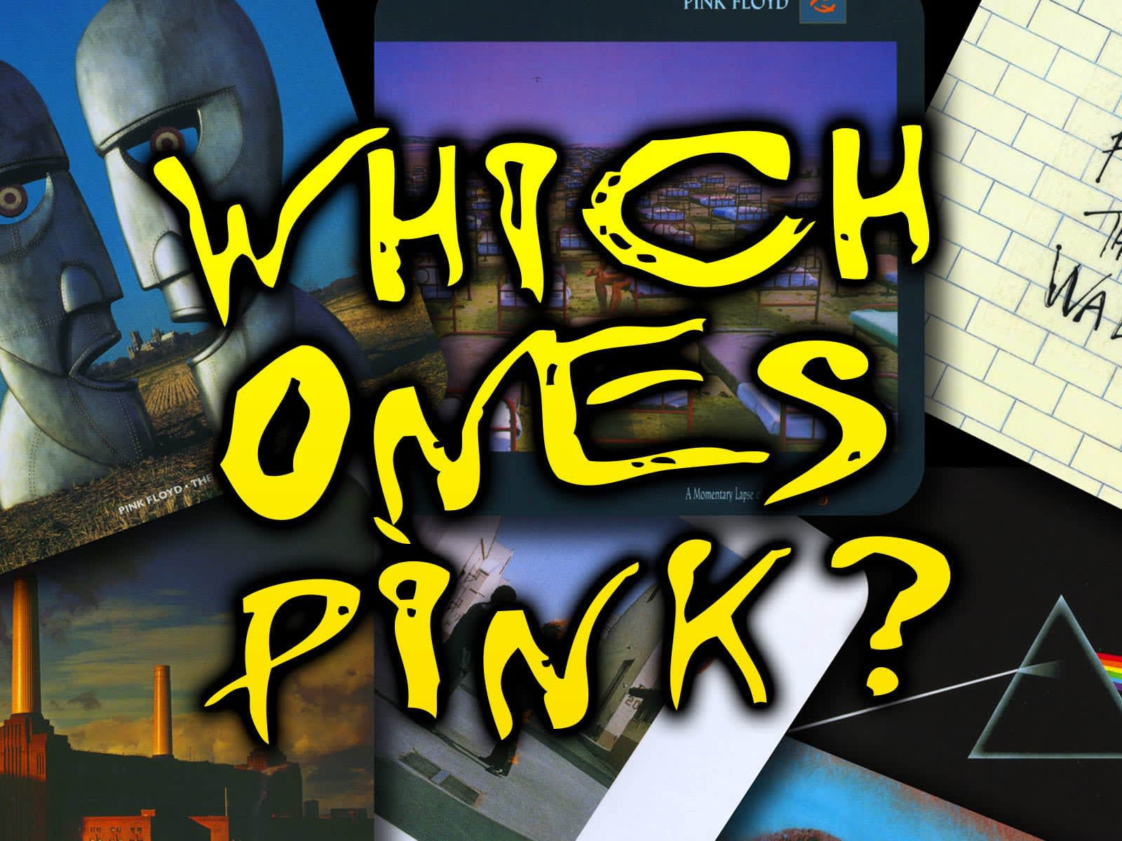 Pink Floyd Tribute by Which One’s Pink Tickets | Agoura Hills | TodayTix