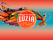 LUZIA Tickets Brisbane TodayTix