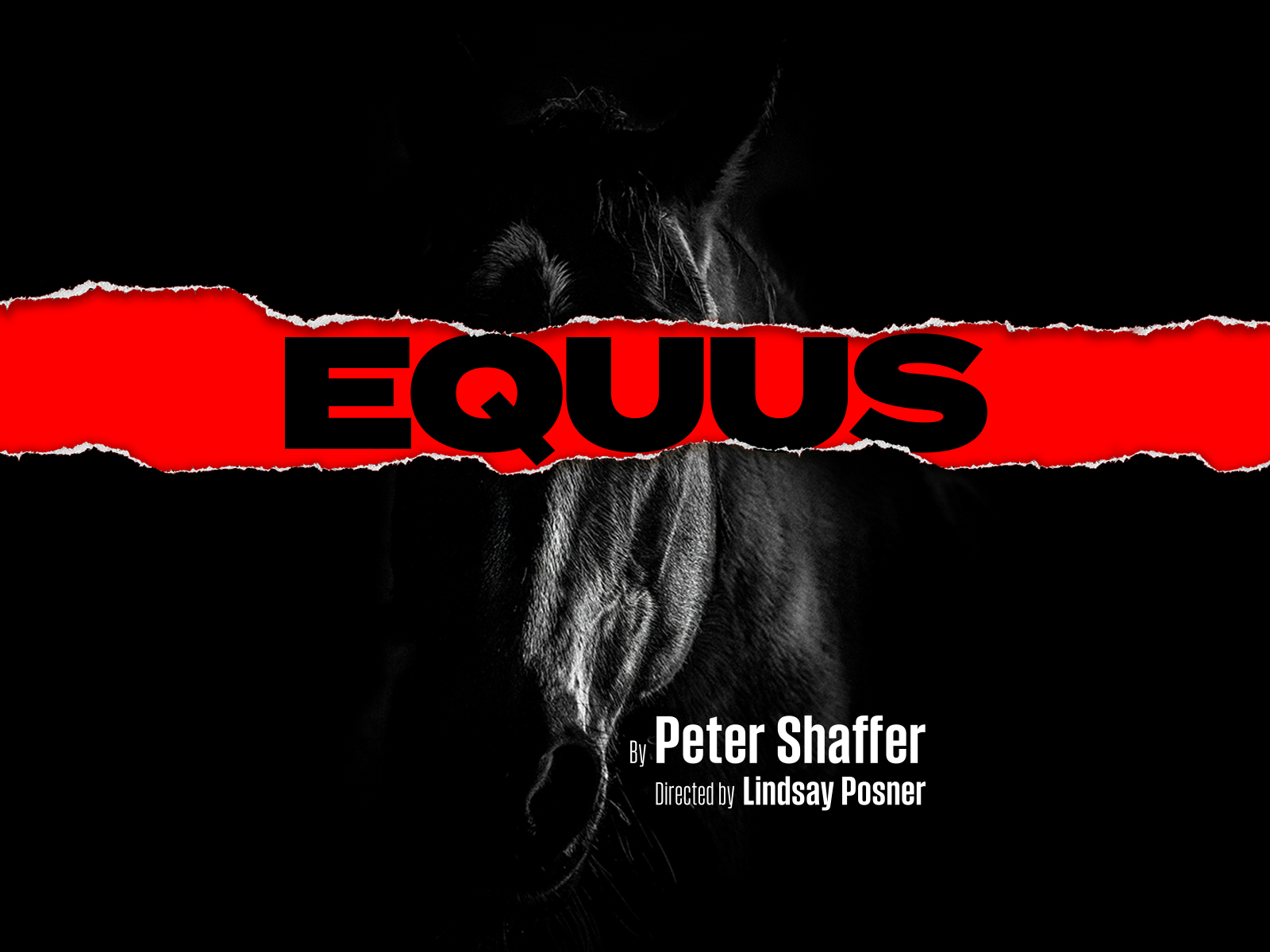 Equus tickets | London | TodayTix