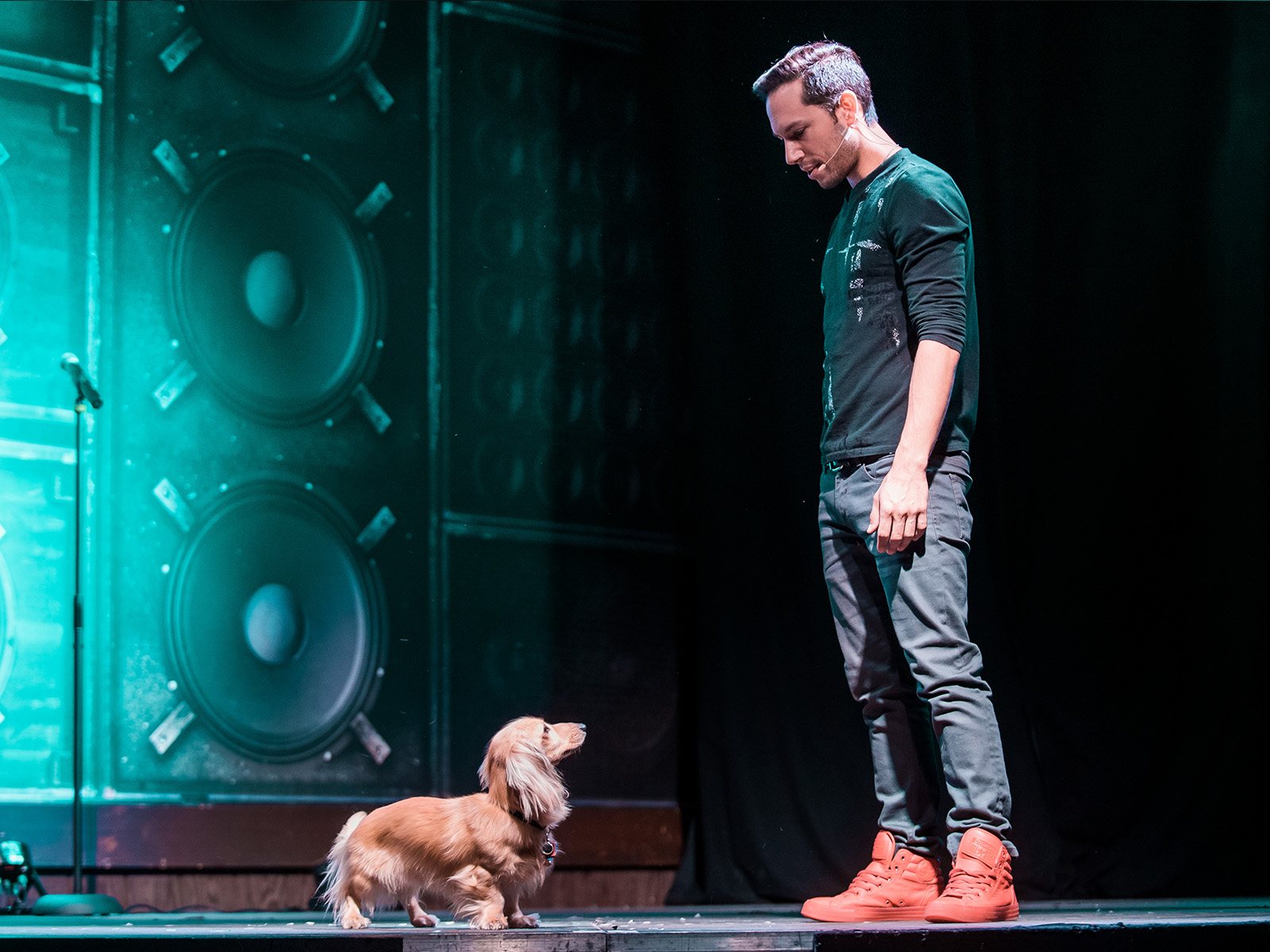 Alex Ramon Magic XII Tickets | Walnut Creek | TodayTix